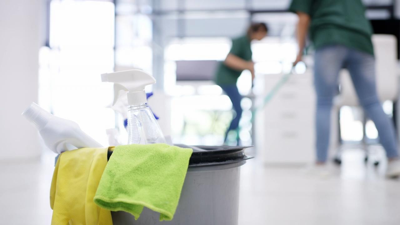 💧 Pearl Cleaner GmbH - Reinigungsleistungen